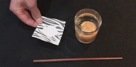 《浮在水面上的鸡蛋》的实验怎么做呢360新知