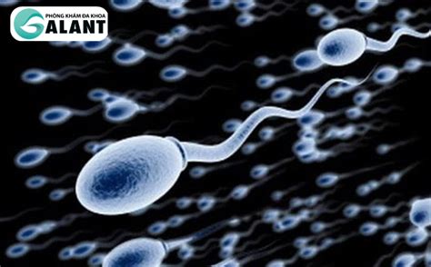 Cảm Giác Của Nam Nữ Khi Tinh Trùng Bắn Vào đầy Tử Cung