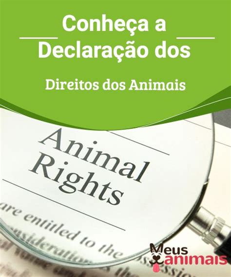 Conheça a Declaração dos Direitos dos Animais Direito dos animais Declaraçao Conhecendo