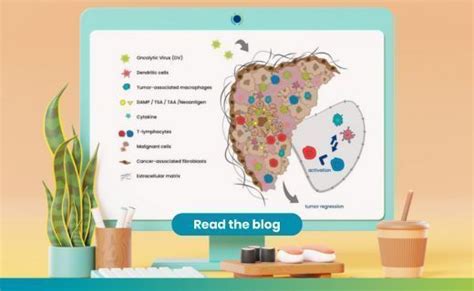 Oncodesign Services On Linkedin [blog] Oncolytic Viruses Ovs Are