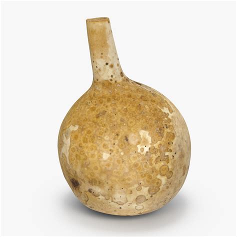 Gourd Water Container Calabash 3d Model 3d Model 29 3ds C4d Fbx