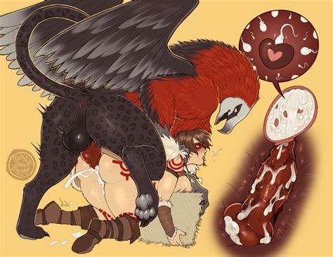 Rule 34 Accipitrid Accipitriform Animal Genitalia Anus Ass Ass Focus