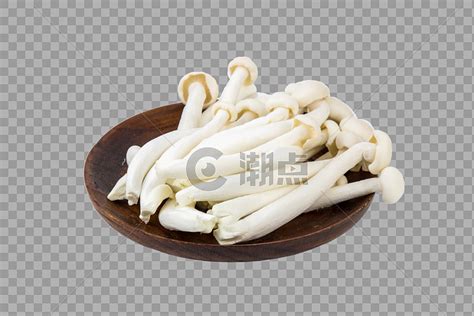 茶树菇设计元素20001333图片素材免费下载 编号536914 潮点视频