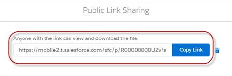 Work With Notes And Files Salesforce Trailhead