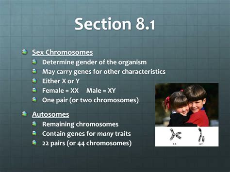 PPT Chapter 8 Cell Reproduction PowerPoint Presentation Free Download ID 1394583