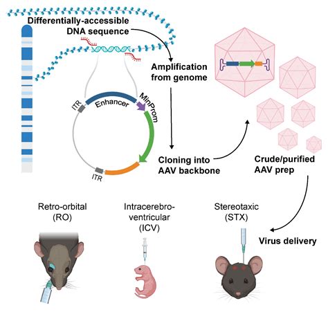 Addgene Blog A Better Way To Share Science