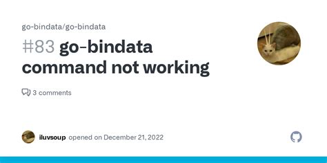 go bindata command not working · issue 83 · go bindata go bindata · github