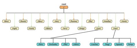 【代码随想录刷题】二叉树的理论基础 Csdn博客