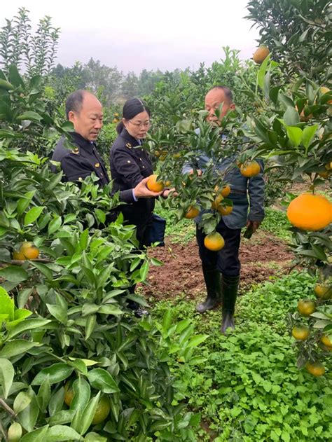 江津区重庆市市场监督管理局