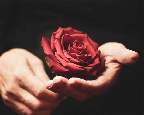 faire livrer des fleurs sur un lieu de travail créer une surprise o