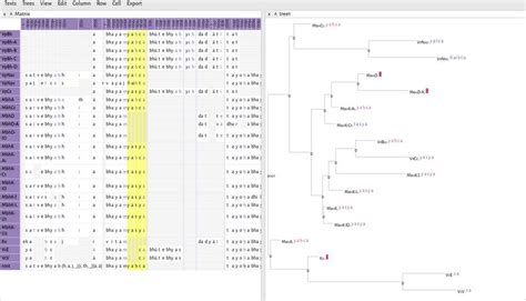 alignment of verse 34 showing an automatically reconstructed and