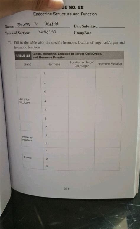 SE NO 22 Endocrine Structure And Function StudyX