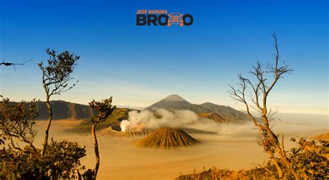 Sunrise Point Bukit Kingkong Spot Sunrise Pilihan Terbaik Wisata Gunung Bromo