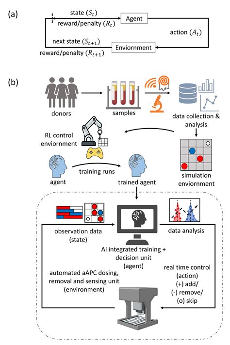 Reinforcement Learning Guided Control Strategies For Car T Cell