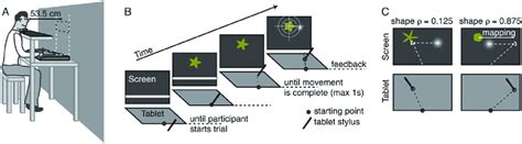 Setup And Procedure A Experimental Setup B Time Course Of One Download Scientific Diagram