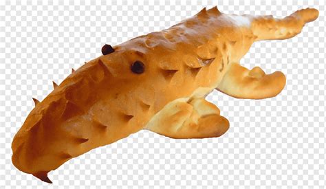 베이커리 롤빵 악어 가격 롤빵 음식 빵집 빵 Png Pngwing