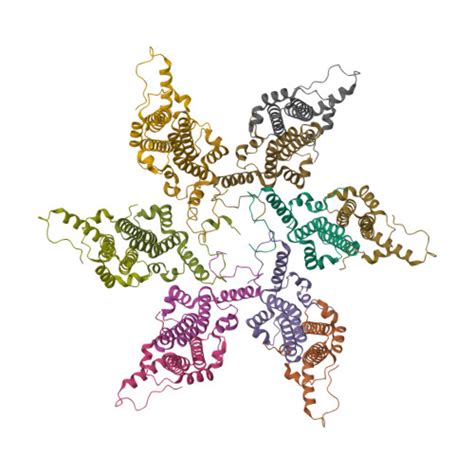 Rcsb Pdb 8ghs Empty Hbv Cp183 Capsid With Importin Beta Subparticle