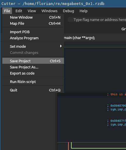 Introducing Projects In Rizin Rizin