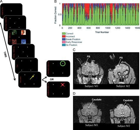 Figure 1 From Encoding Of Both Positive And Negative Reward Prediction
