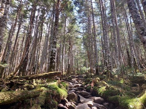 Amazon Rds と Aws Secrets Manager の統合を試して理解する。 サーバーワークスエンジニアブログ