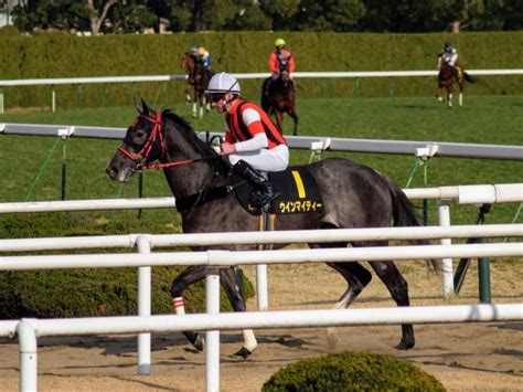 【エリザベス女王杯】ウインマイティー巻き返しへ馬三郎のつぶやき 競馬ニュース