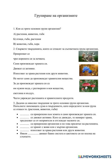 2239063 Групиране на организмите Ivelina280300