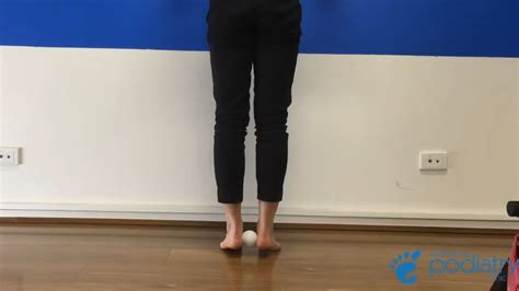 My First Project Keypoint Detection Dataset And Pre Trained Model By Willy