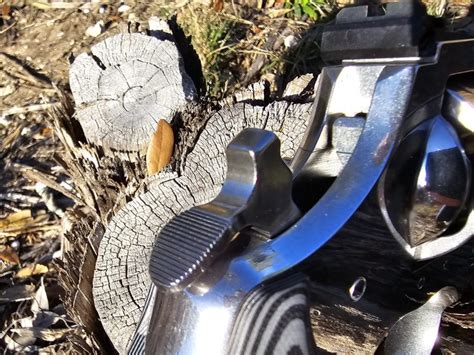 Gun Review Colt Python Combat Elite Revolver Shooting News Weekly