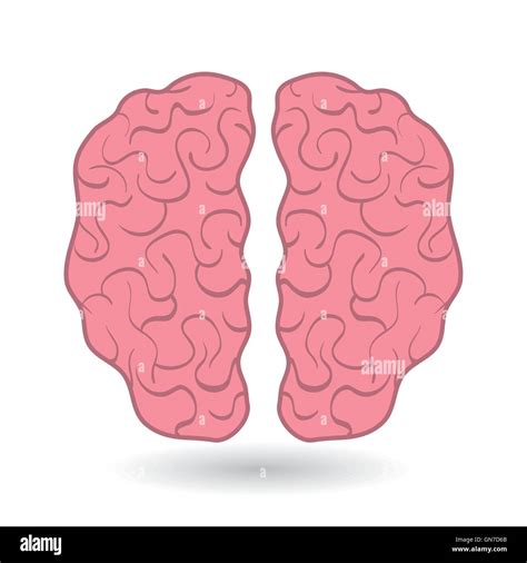 Human Brain Left Hemisphere Icon Cut Out Stock Images And Pictures Alamy