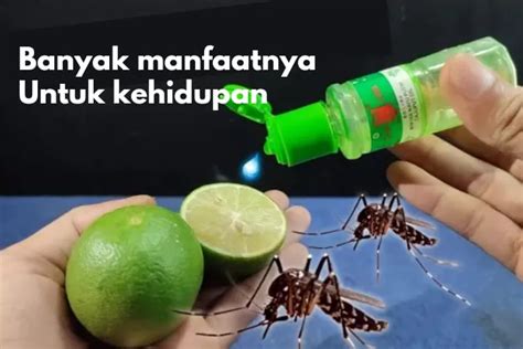 Kaya Manfaat Terpendam Ini Dia Khasiat Campuran Jeruk Nipis Dan Minyak