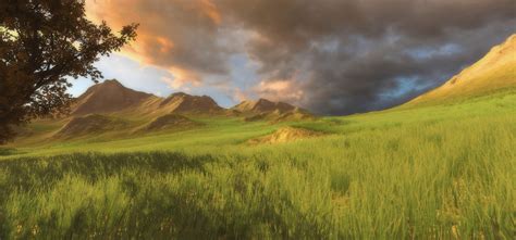 Unity D Terrain
