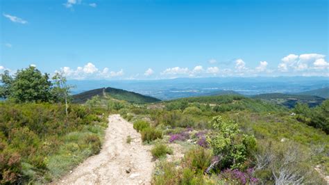 A Beginners Guide To Walking The Camino Walking The French Way