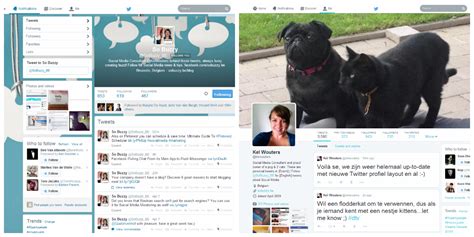 Twitter Profile Page Layout