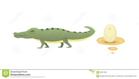 Cute Crocodile Set Aligator Vector Cartoon Illustration 92917936