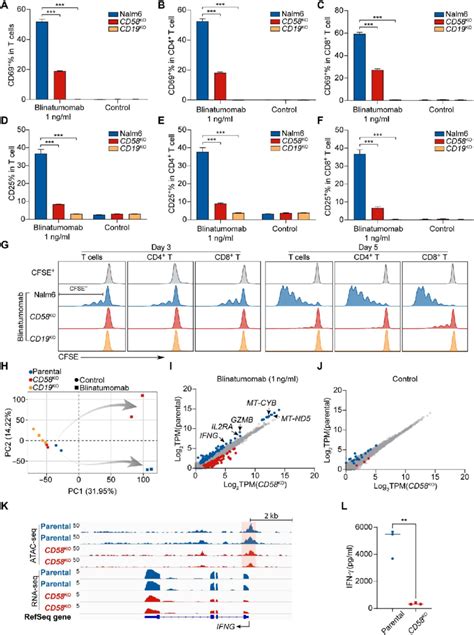 Cd58 Depletion In B All Abolishes T Cell Activation And Proliferation Download Scientific