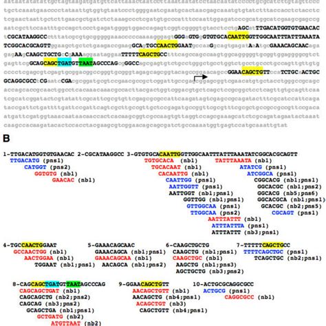 drosophila enhancers included in the cis decoder analysis download table