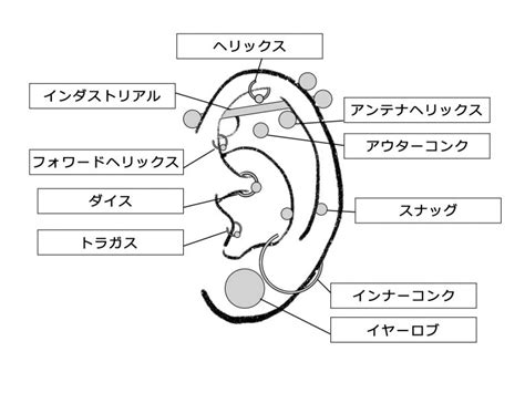 ピアス排除の症状や注意点！前兆を見分けるチェックリストも│lupis（ルピス）激安アクセサリー通販 公式ブログ