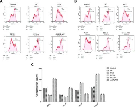 Effect Of Llc Derived Exosomes On Dc Phagocytosis Inflammatory