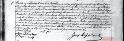 Birth Record Of Josef Pflug