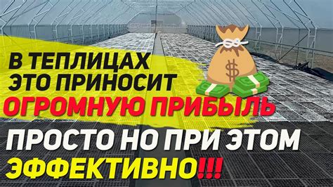 Теплица с бассейнами для гидропоники - YouTube