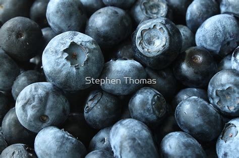 Big Beautiful Blueberries By Stephen Thomas Redbubble