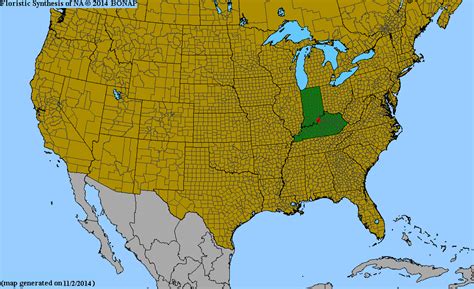 2013 Bonap North American Plant Atlas Taxonmaps