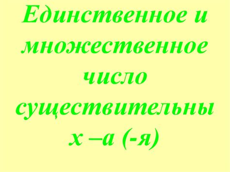Единственное и множественное число существительных а я презентация онлайн