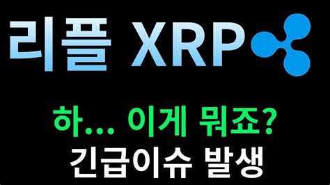 리플코인 하 이게 뭐죠 긴급 이슈 발생 Youtube