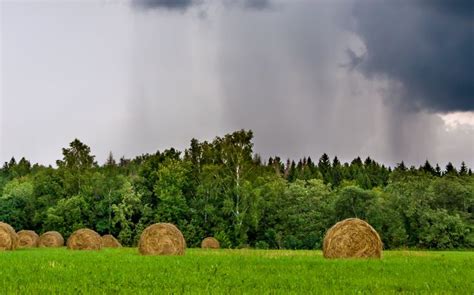 Fasal Imd Collaborate For Research On Weather Forecast Models To Make Farming Climate Smart