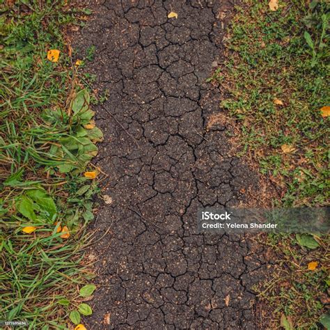 단풍 사이 빈 통로 가을 장면 건조 한 지구와 단풍의 개념 이미지 맨 위 보기입니다 공간을 복사합니다 0명에 대한 스톡 사진 및 기타 이미지 Istock