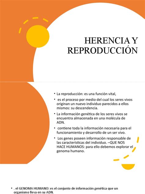 Herencia Y Reproducción Pdf Dominancia Genética Sexo
