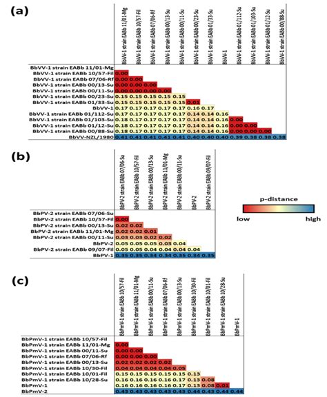 Figure S322 Pairwise Distance Matrix Created Based On The Rdrp