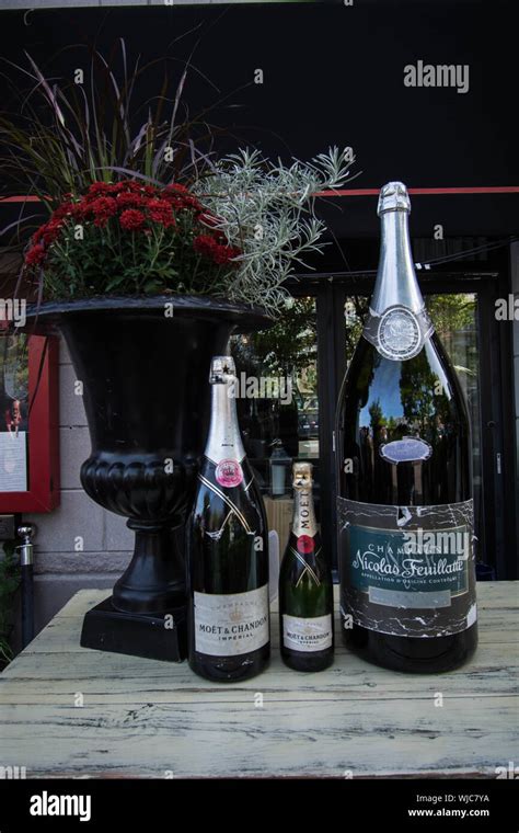 Champagne In Bottle With Plant And Flowers Halifax Nova Scotia Canada